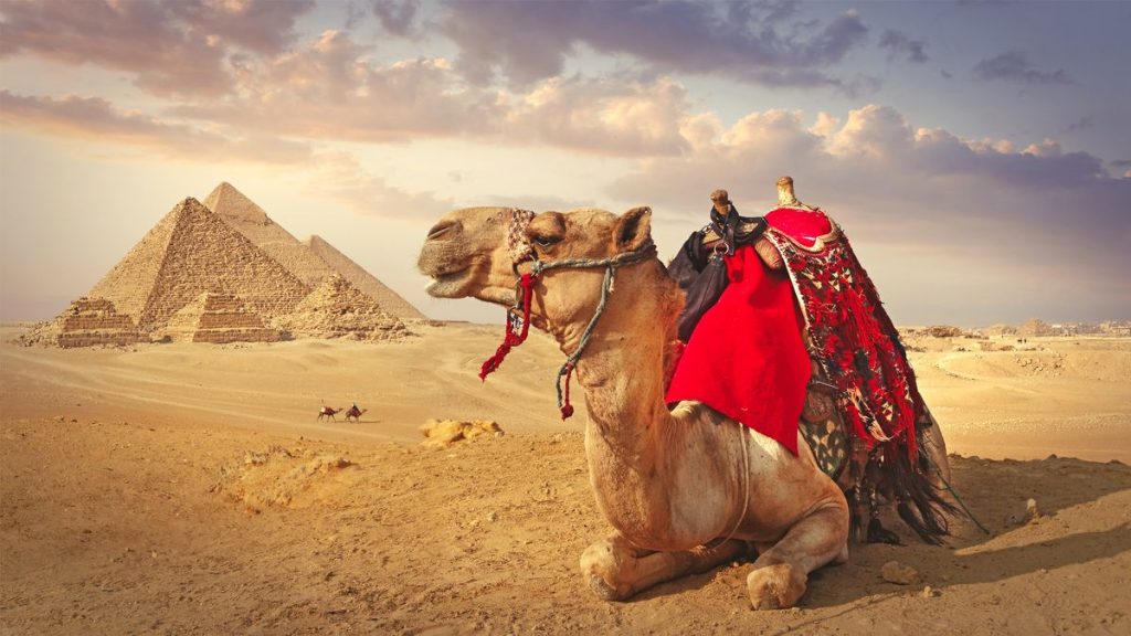 The Art of Desert Navigation: Ancient and Modern Techniques - Quebec Oui